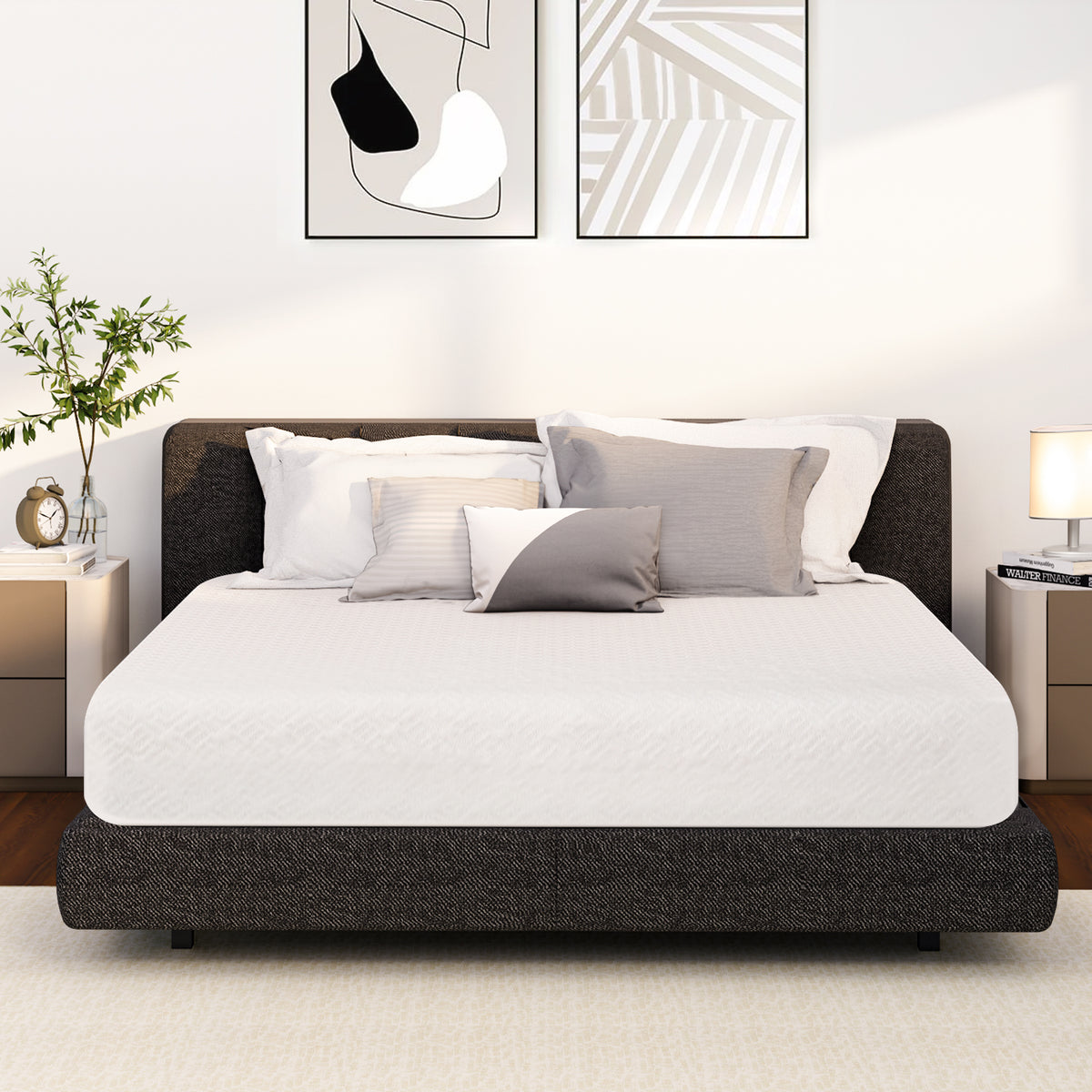 [NEO Sleep] Basic+ CK 10in Mattress – NEO Direct